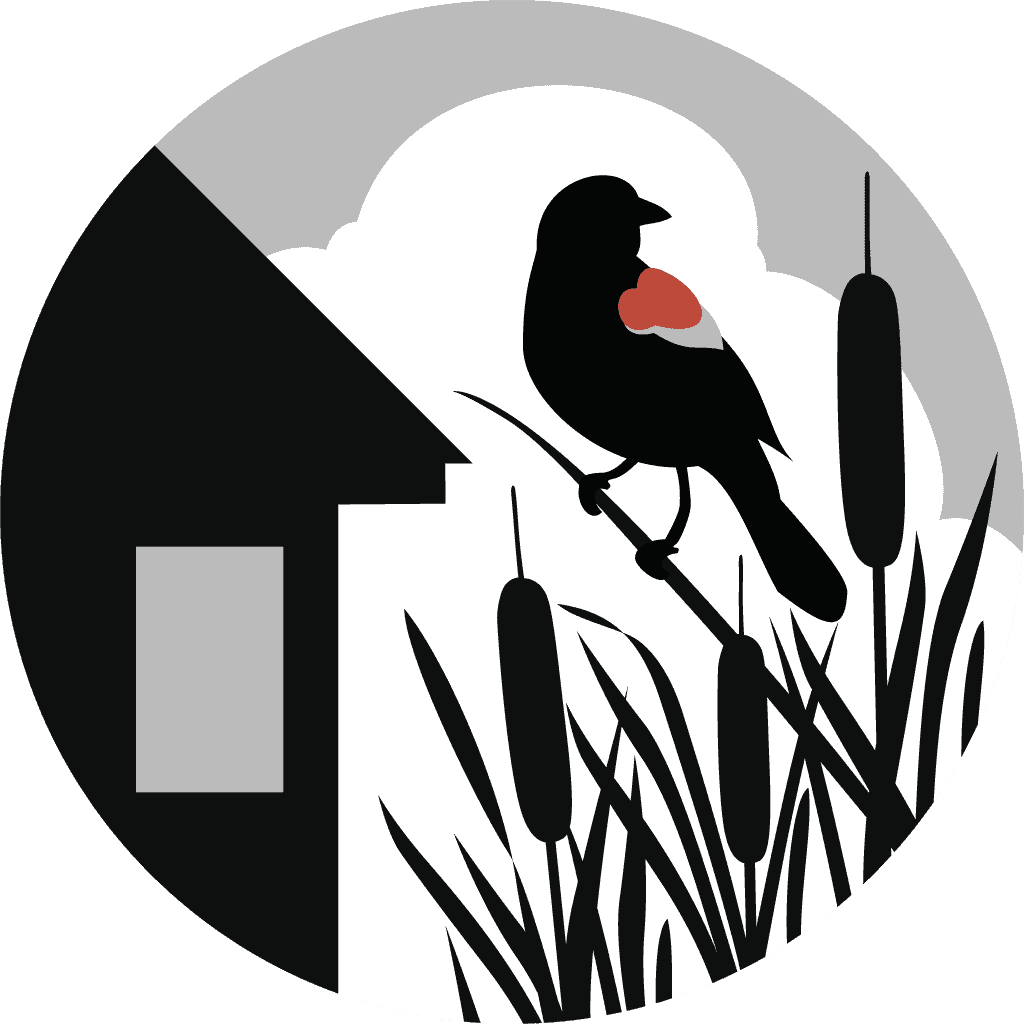 Swamp-Side Studio | Website Design & Development